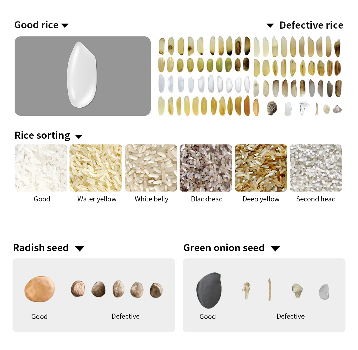 Wesort Colour Sorter – colour sorting machine manufacturers| Wesort